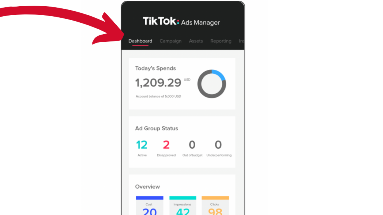 Basics of TikTok Ads Manager - Expand Your TikTok Reach - Pigo Likes ...